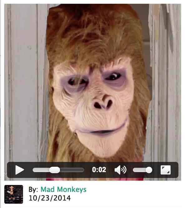 Vine Mad Monkeys